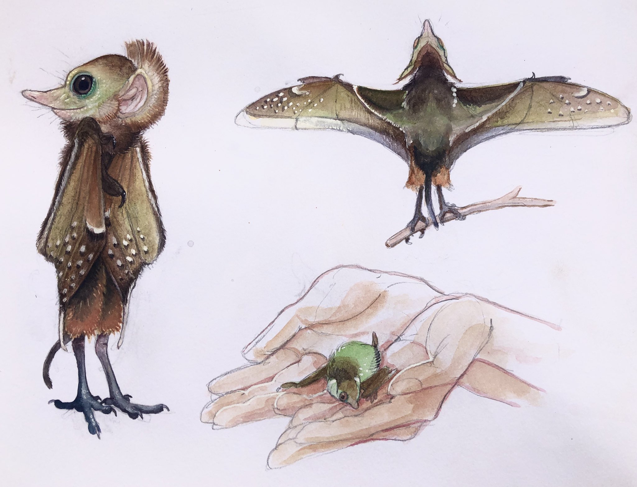 Fluffy Pixie Creatures