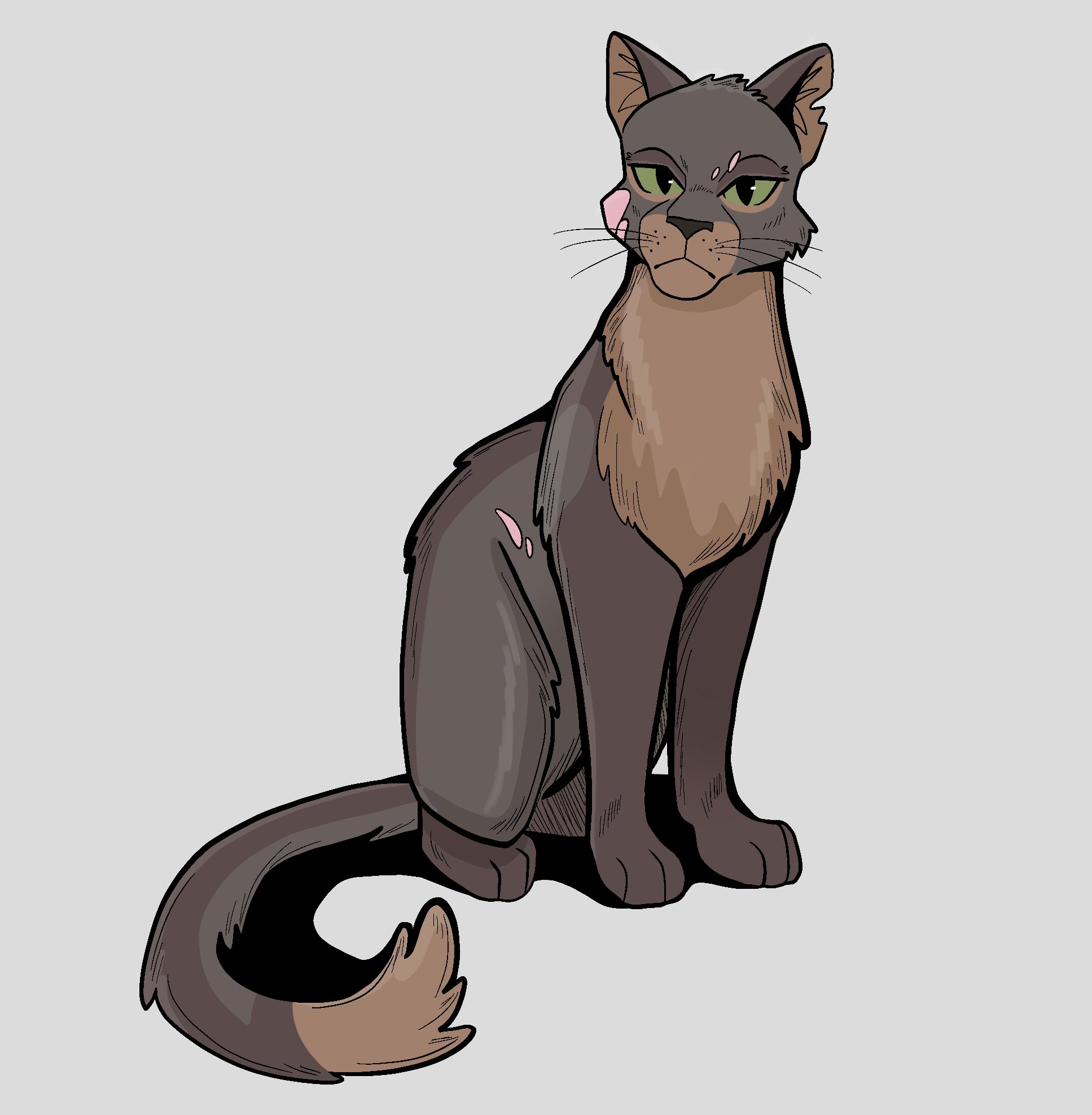 How To Draw A Warrior Cat
