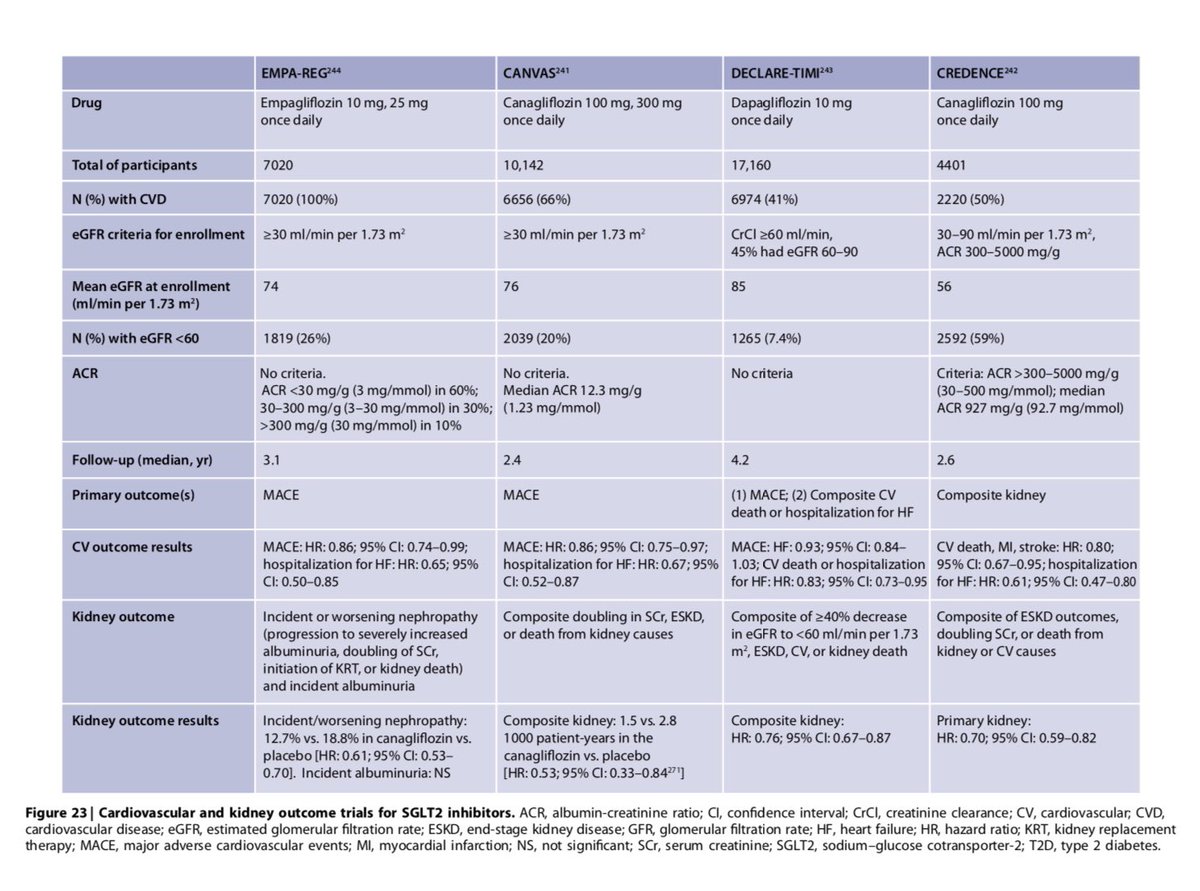 💥kdigo 2020 Clinical Practice Guideline For Diabetes Management In Ckd