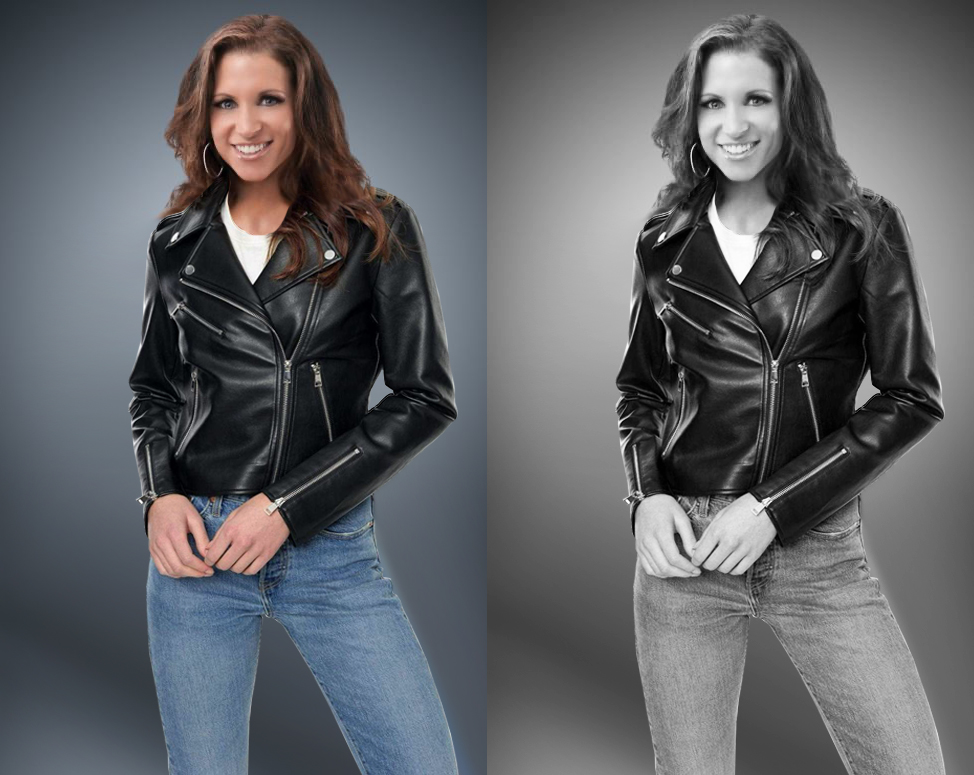 Wwe Stephanie Mcmahon Leather