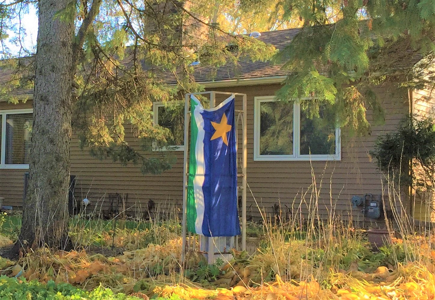 The North Star Flag: A Proposal for a New Minnesota State Flag