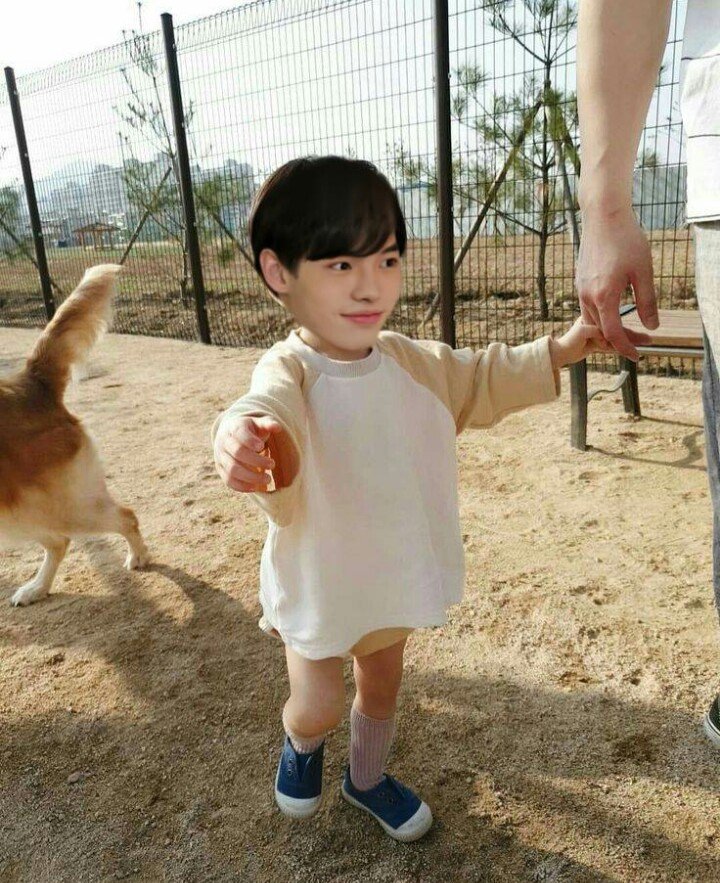 brightwin (@o_brightwin) | Twitter