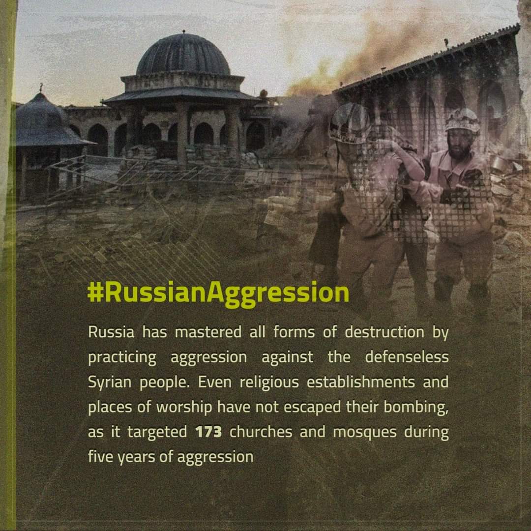 Usama Safi (@UsamaSafi3) | Twitter