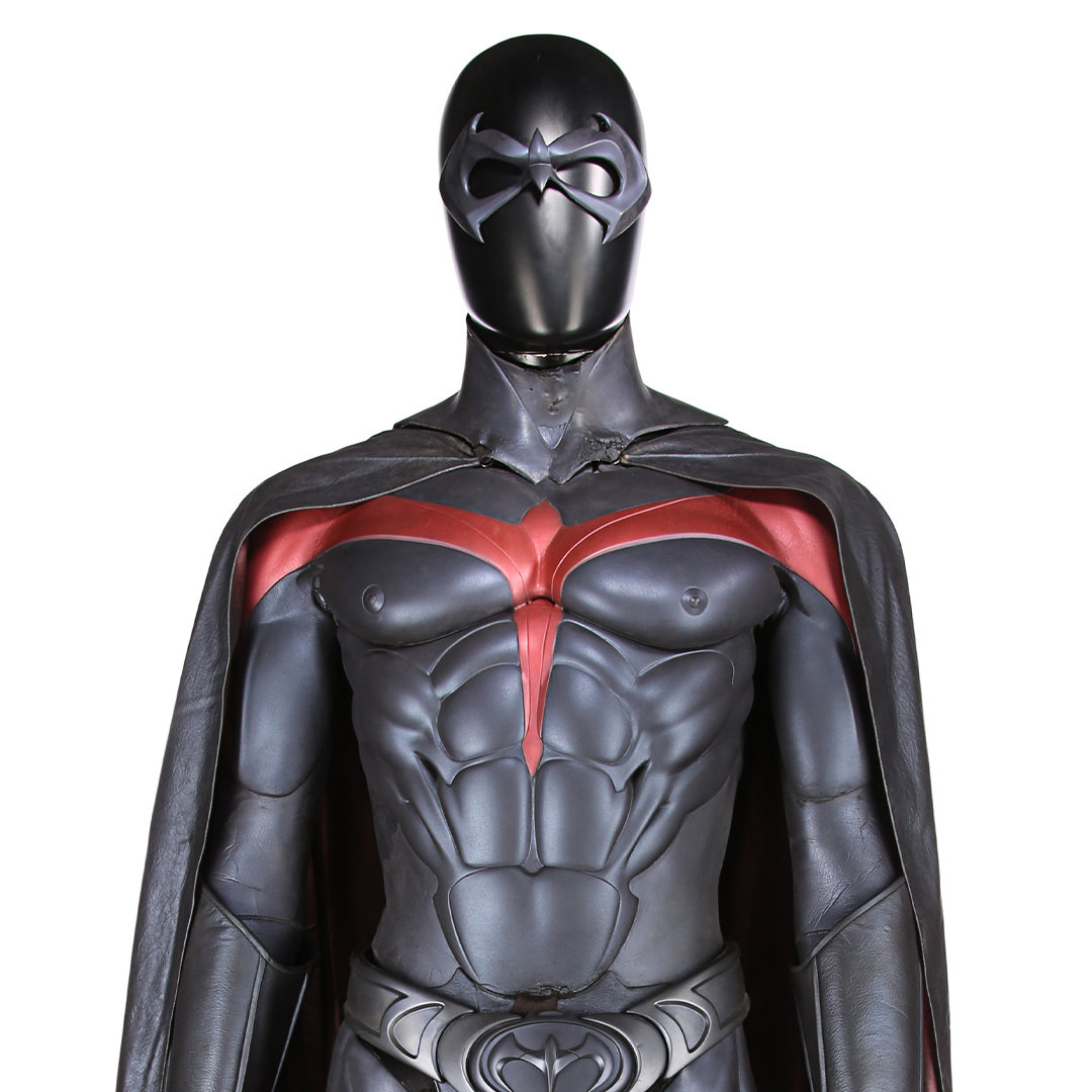 Batman And Robin Mr Freeze Costume