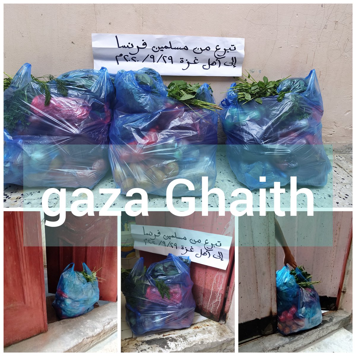 gaza Ghaith (@GazaGhaith) | Twitter