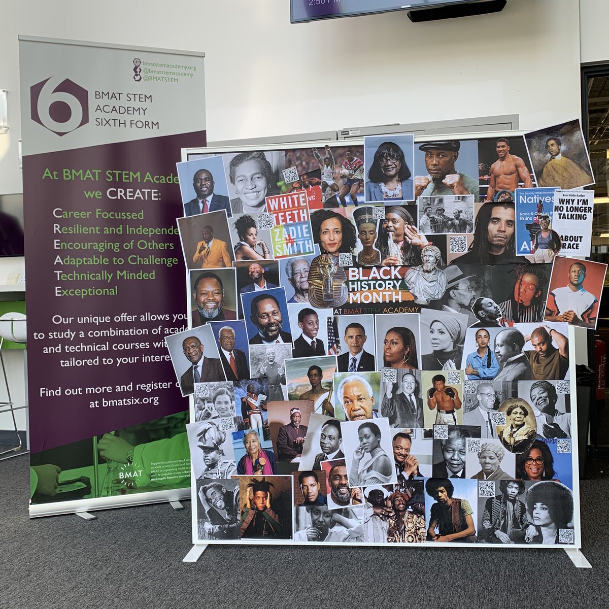 Welcome to The BMAT STEM Academy