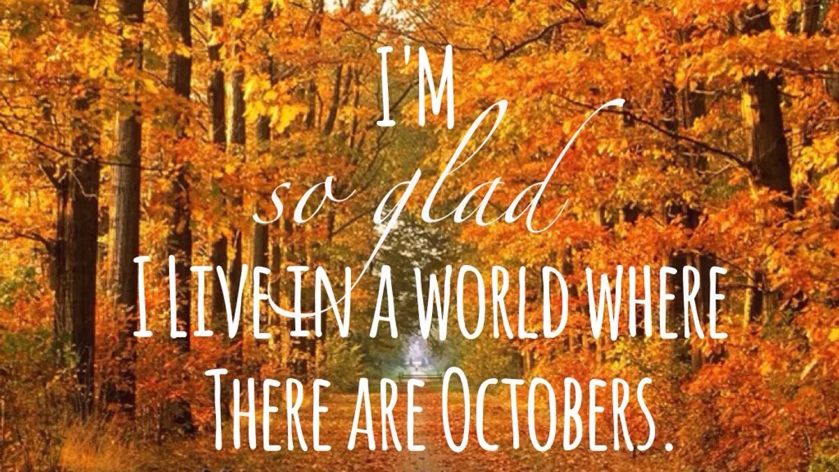 My Favorite Color Is October