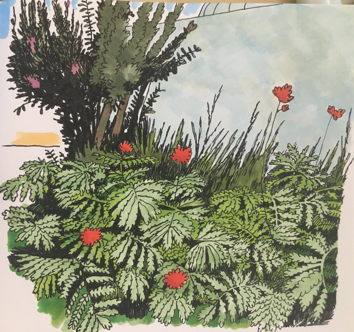 「Why does she crave the forbidden spaghetti 」Katie Rの漫画