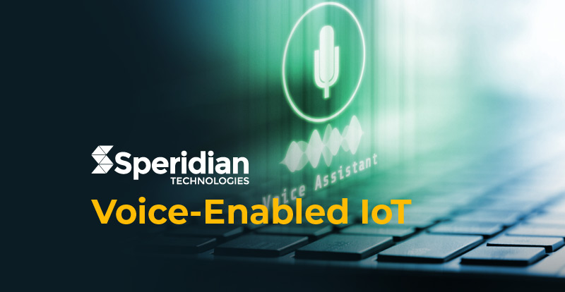 Speridian Technologies | A global IT solutions and consulting company.