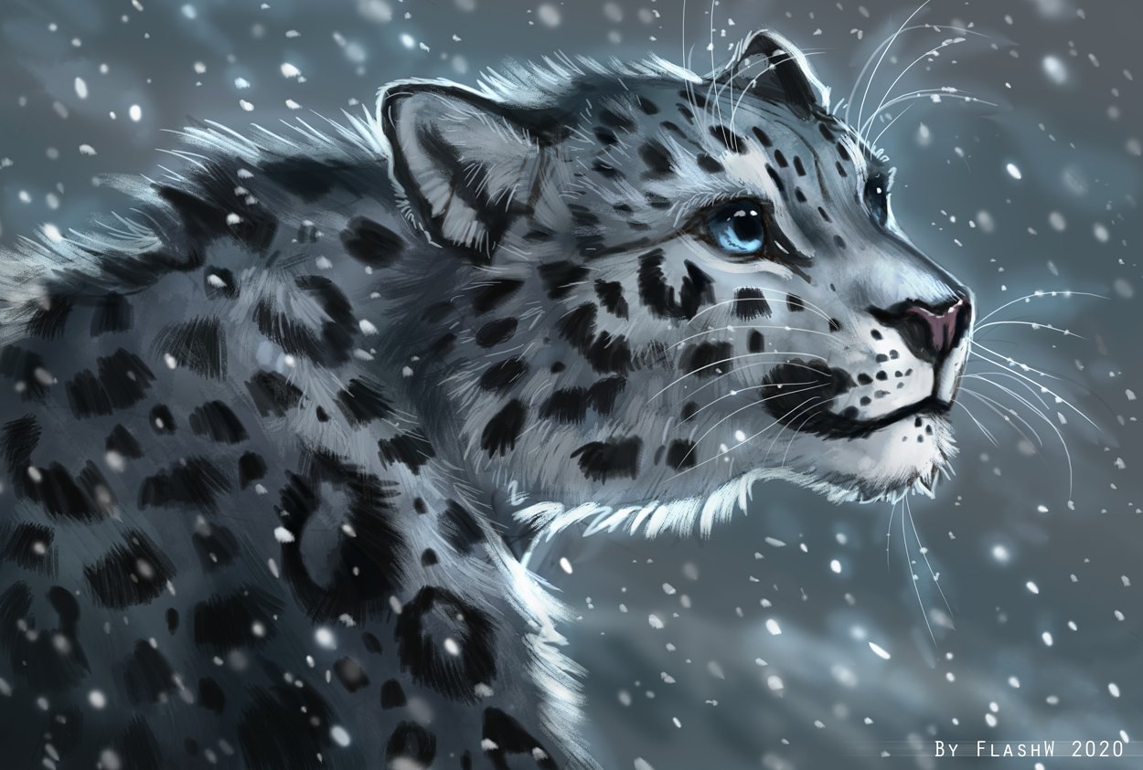Snow Leopard Digital Art