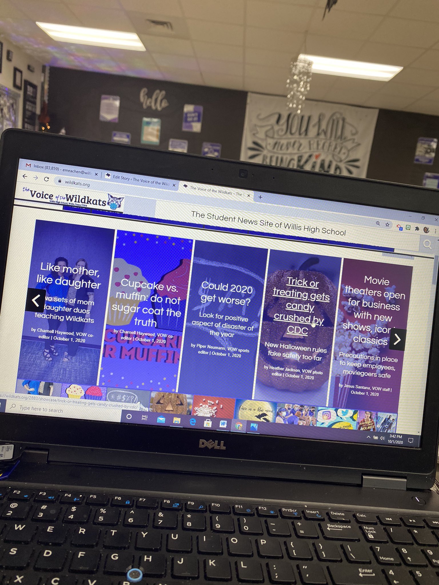 WILDKAT Photo of the Day on Twitter: "So many new stories to read on https://t.co/yuqTHWYa5l…