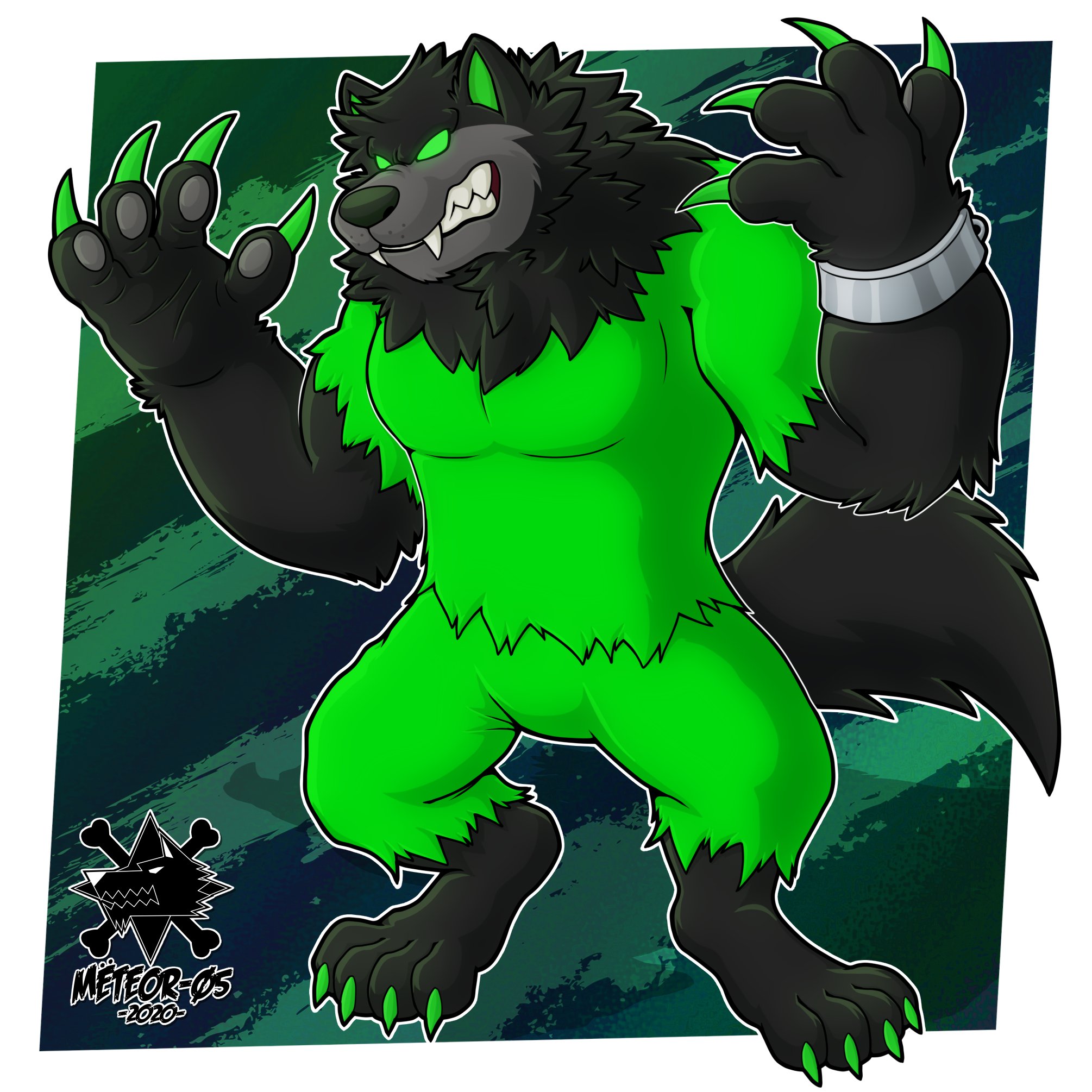 Danny Phantom Wolf Ghost