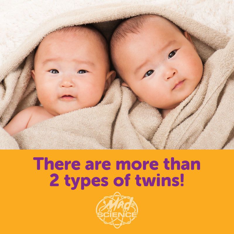 Half Identical Twins