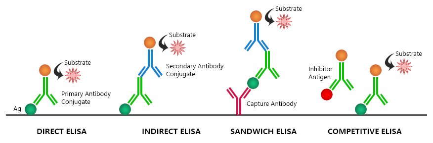 Enzyme-linked immunosorbent assay (ELISA) = an immunological assay = is ...