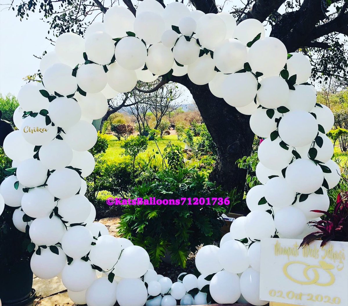 Kats Balloons BW (@bw_balloons) | Twitter