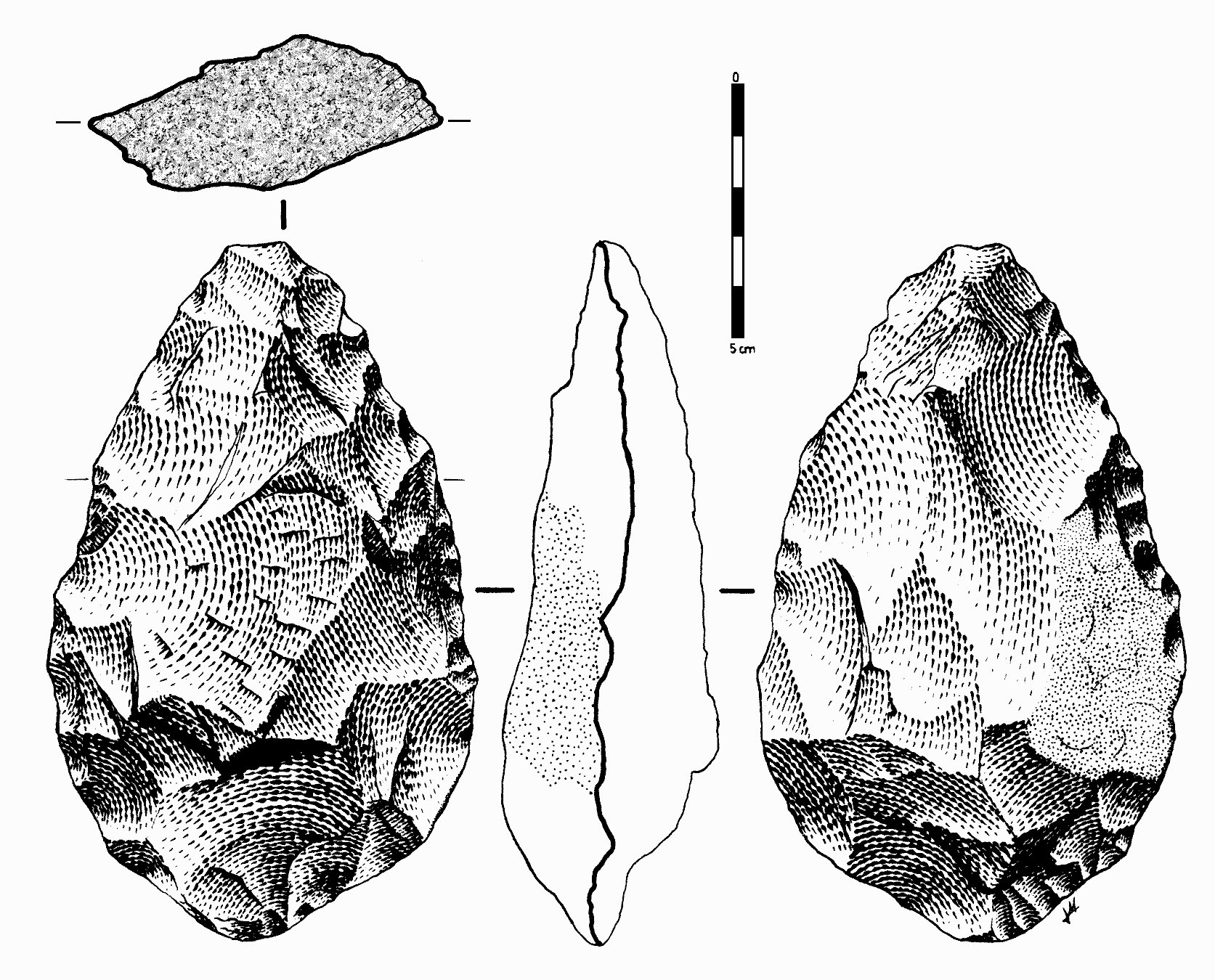 Australopithecus Garhi Tools