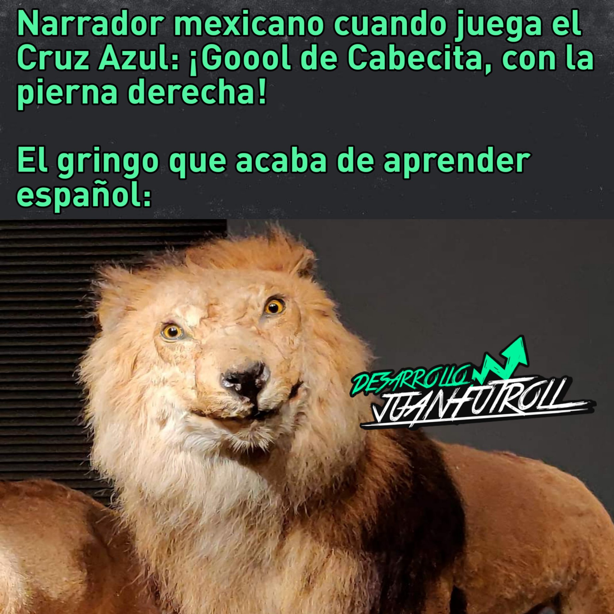 Memes Del Gringo Wtf Paul Vincent Wilson Thoughts, Stories