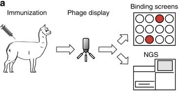Dr. Binish Fatma (@BinishFatma2) | Twitter