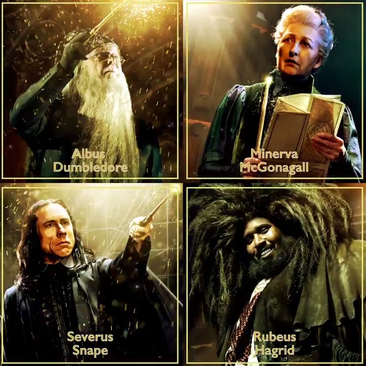 Dumbledore And Snape