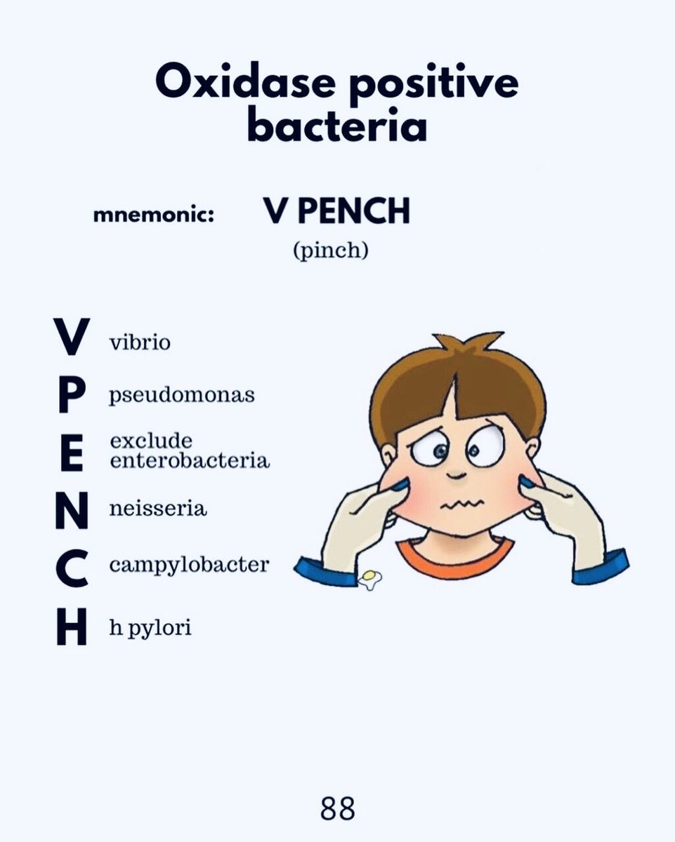 🔷ملخصات ل الامراض (diseases ) بطريقة رائعة : - Thread from Sarah 💊📝 ...