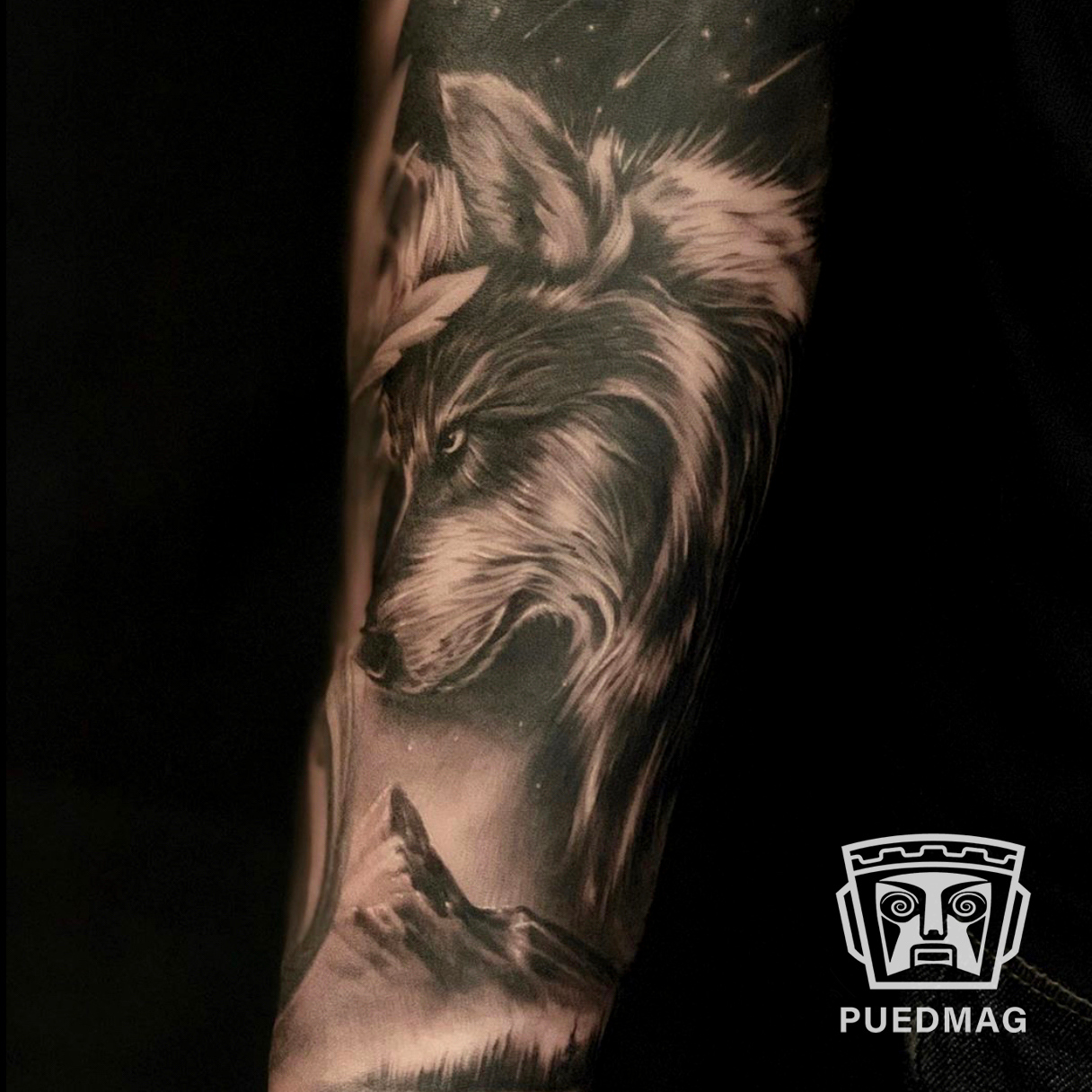 Realistic Wolf Tattoo