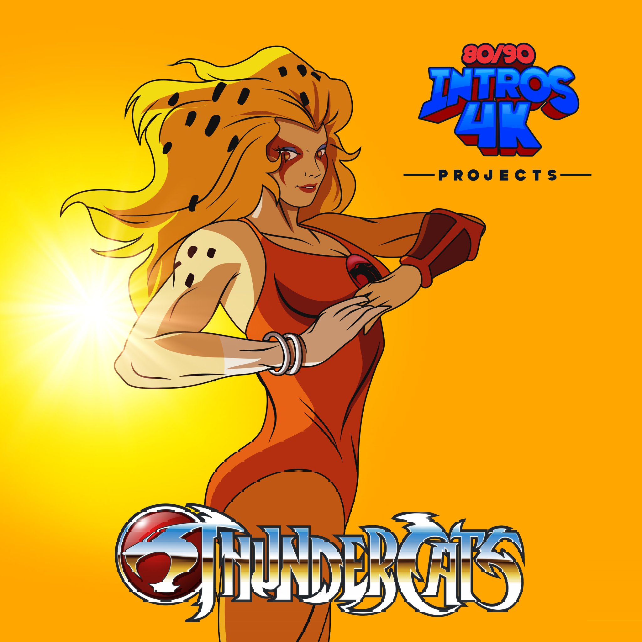 Thundercats Cheetara Original