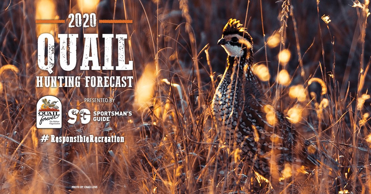 Colby Sharp (@sharpbiologist) | Twitter