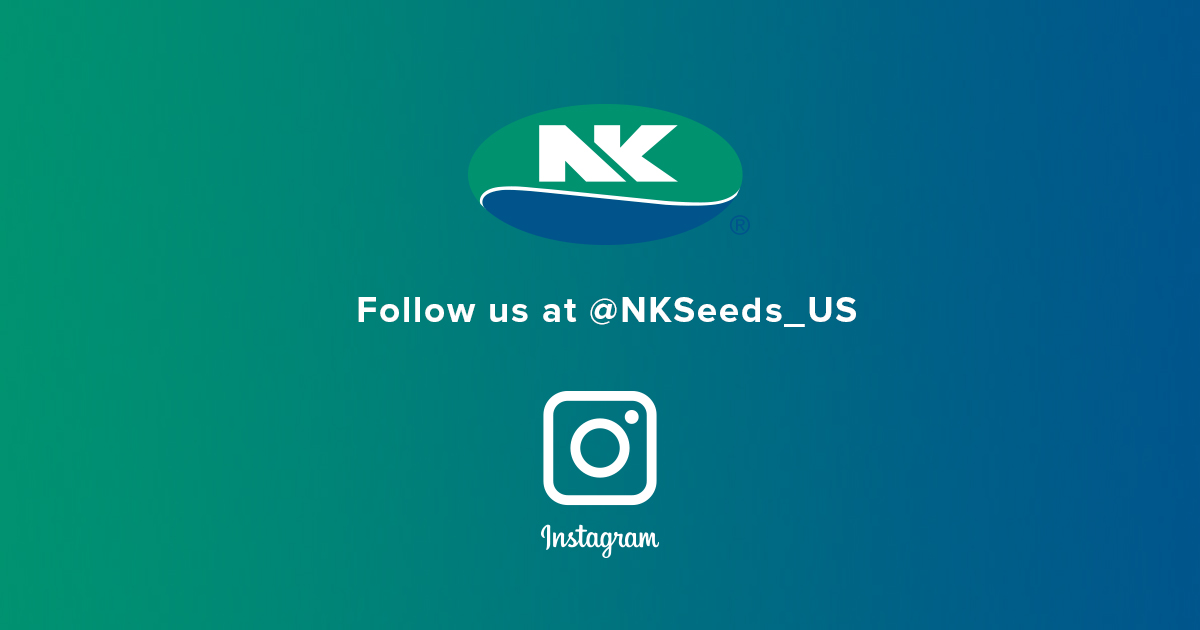 NK Soybean Seeds | Syngenta US