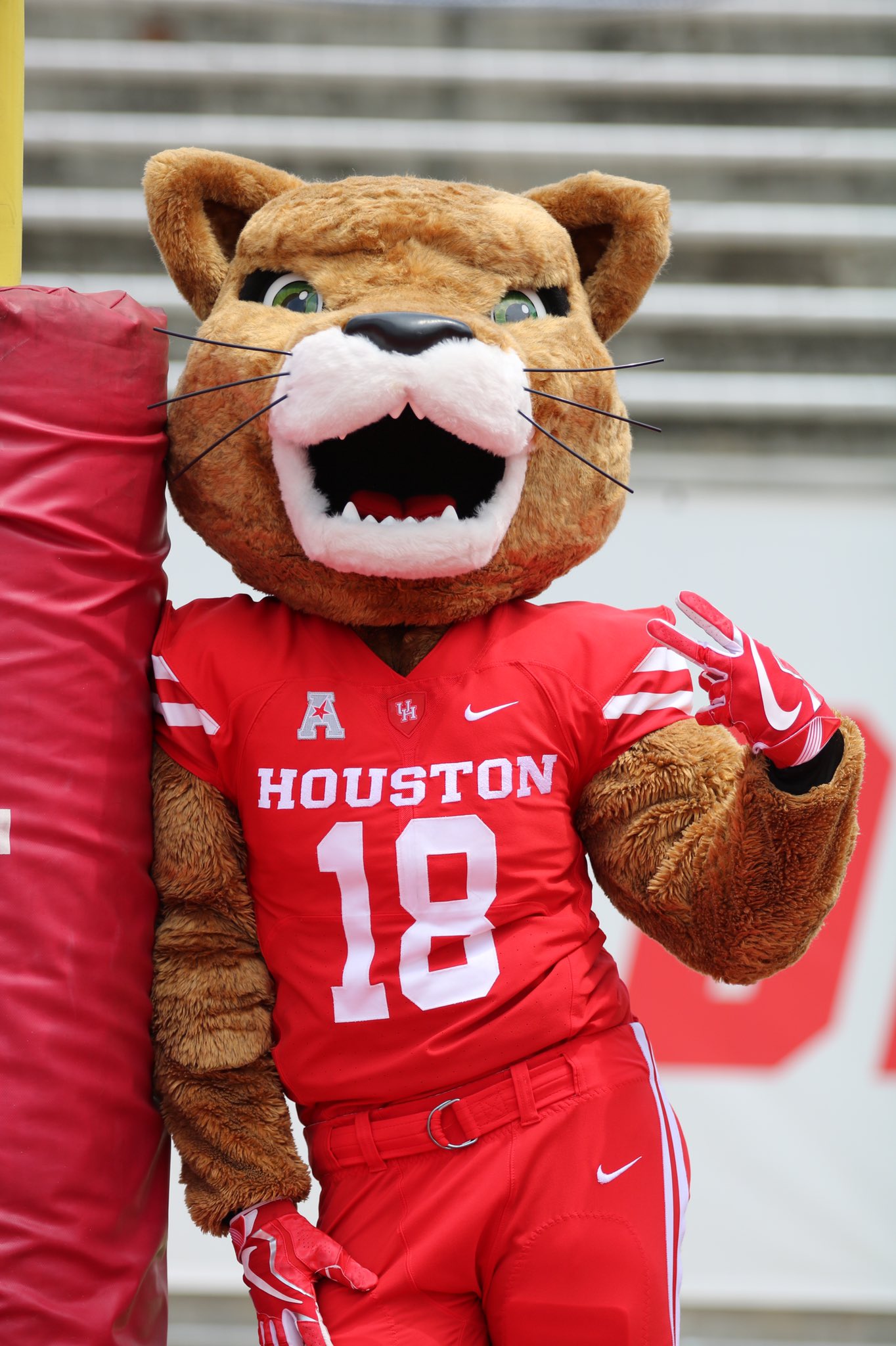 Cougar Football Mascot