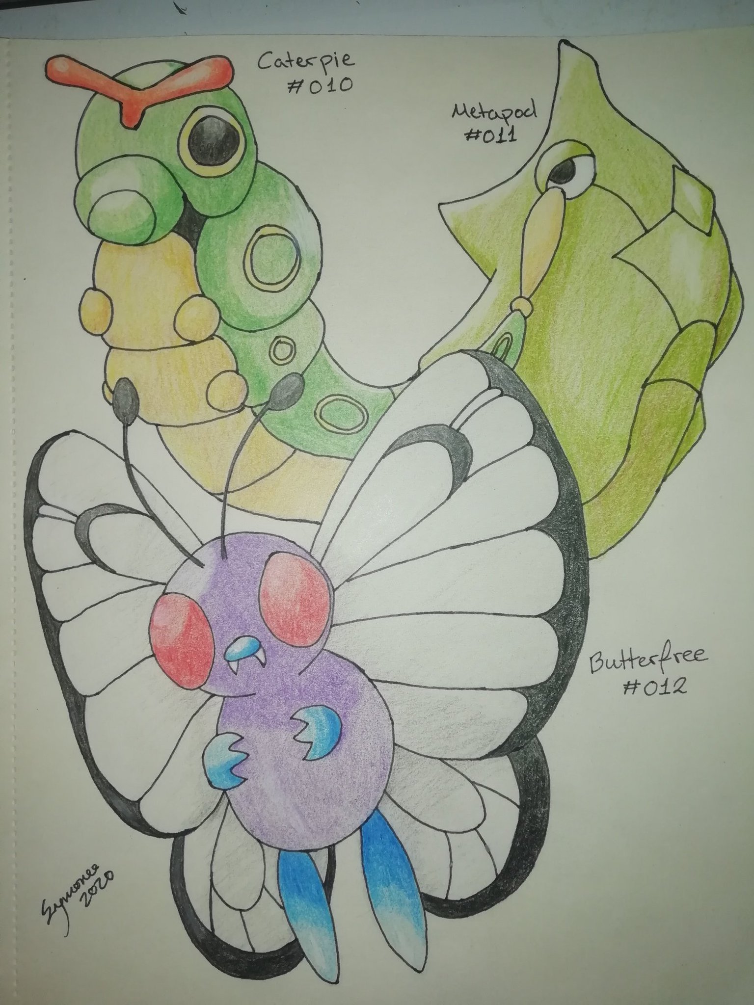 Caterpie Metapod Butterfree