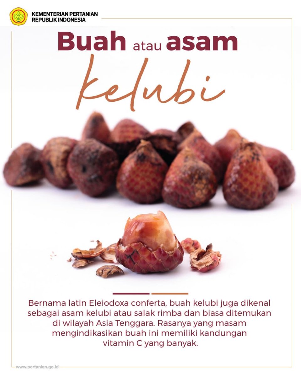 Buah Kelubi