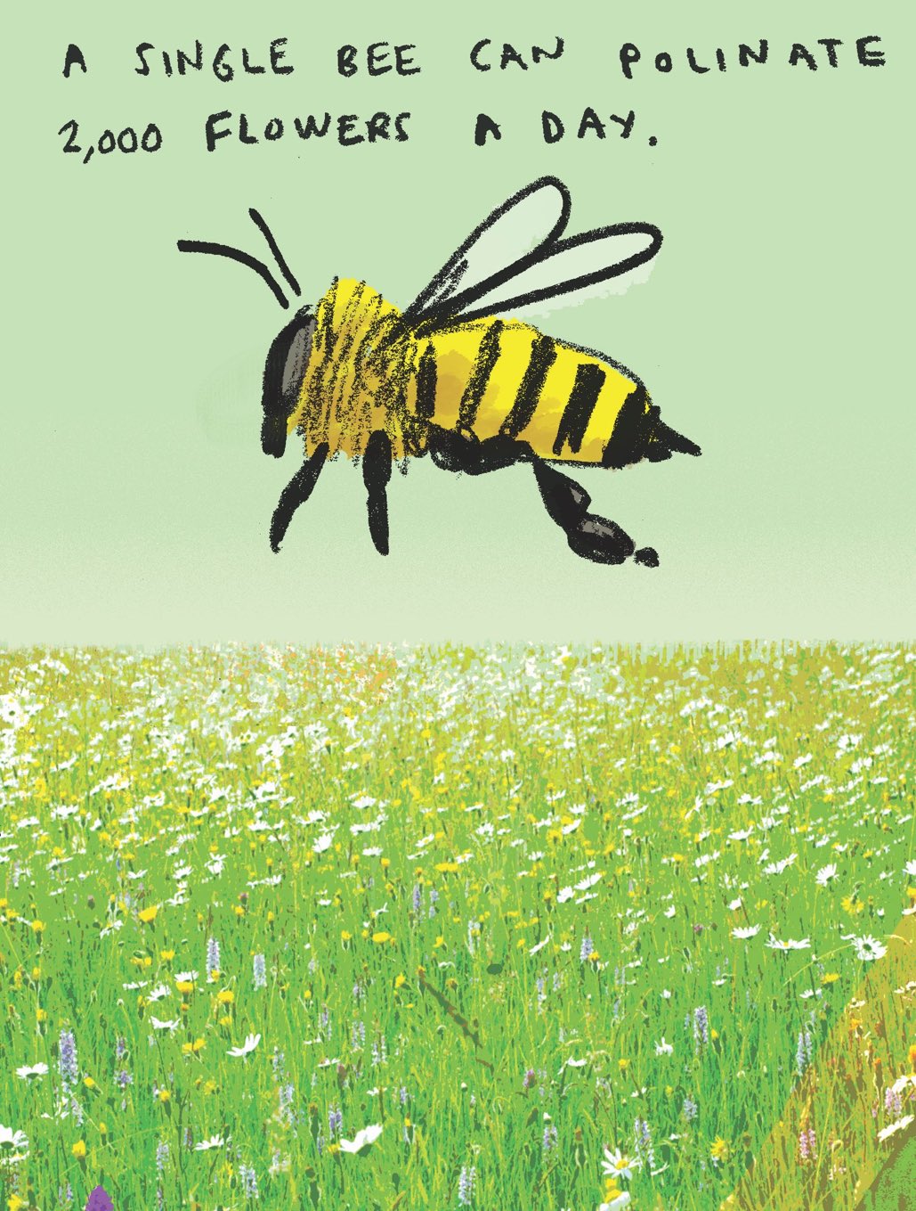 Pollination Quotes How Pollinator Habitat Enhances Biodiversity On
