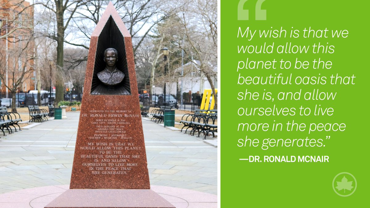 African Astronaut Ronald