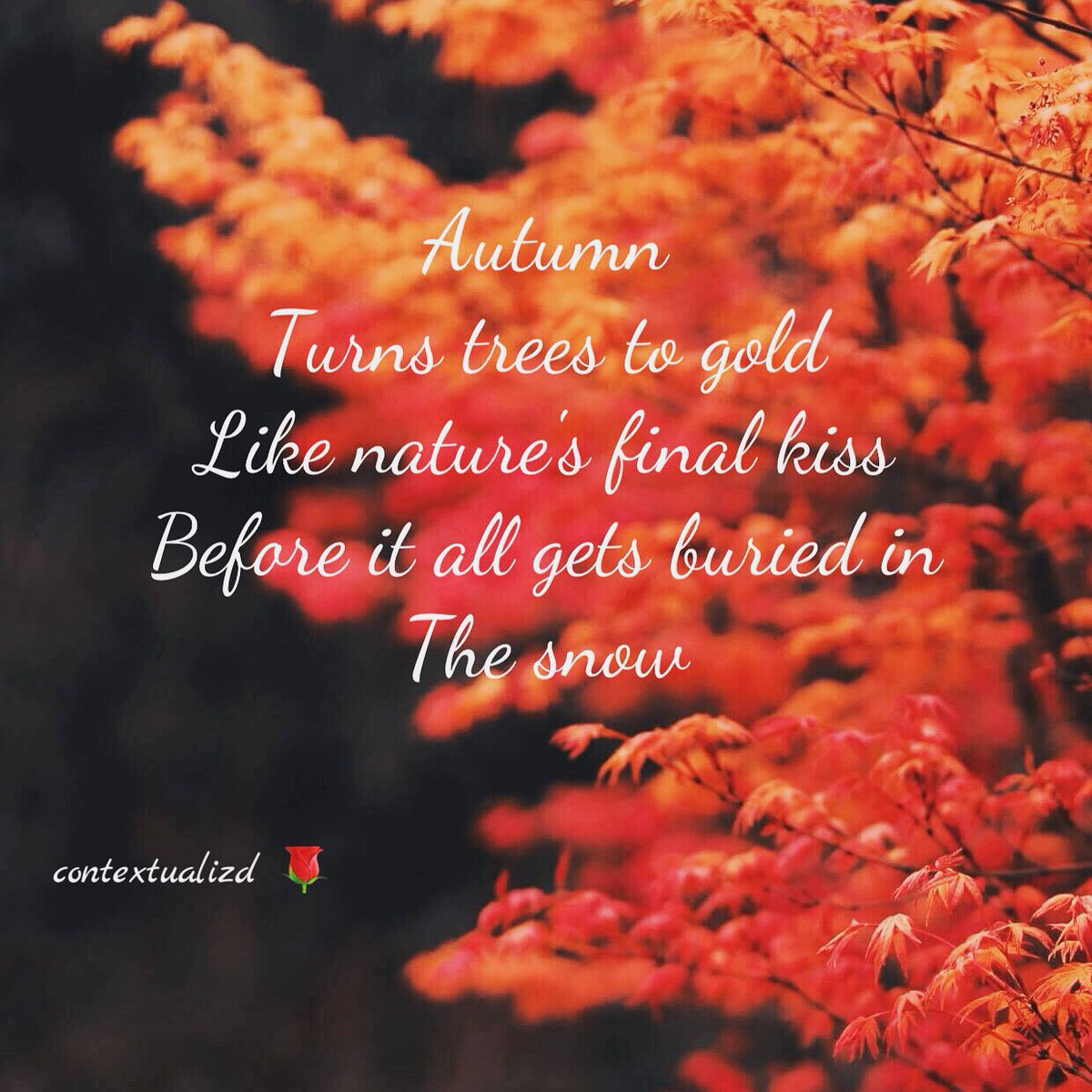 Cinquain Poems About Nature