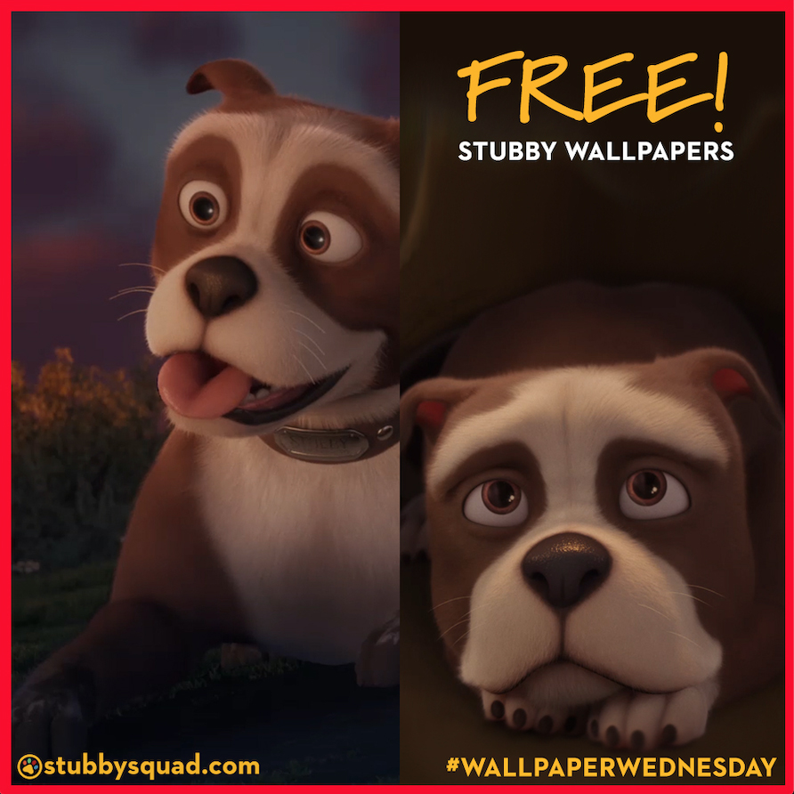 What Breed Of Dog Was Sergeant Stubby