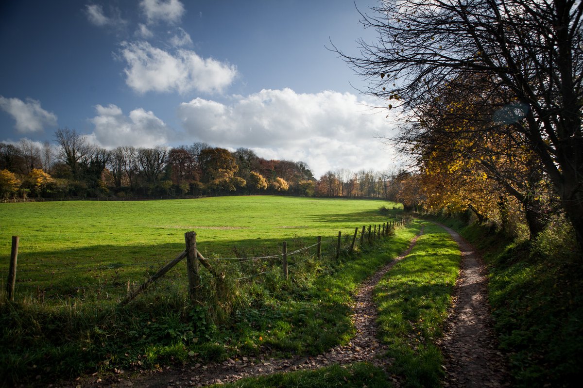 Totnes Information | Local events | Accommodation | Things to Do