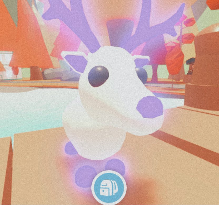 Arctic Reindeer