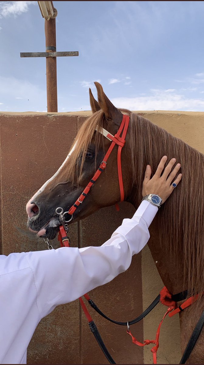 afnan (@afnan_605) | Twitter