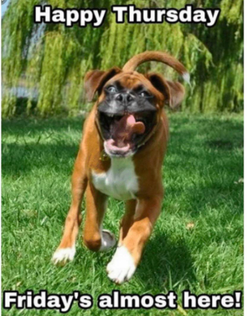 Happy Thursday Puppy