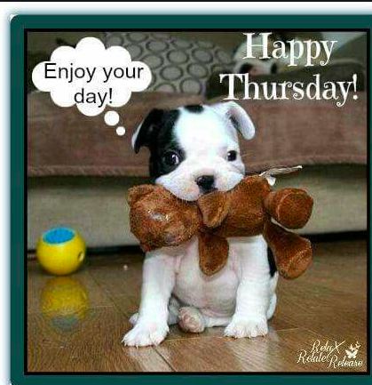 Happy Thursday Animal Pictures