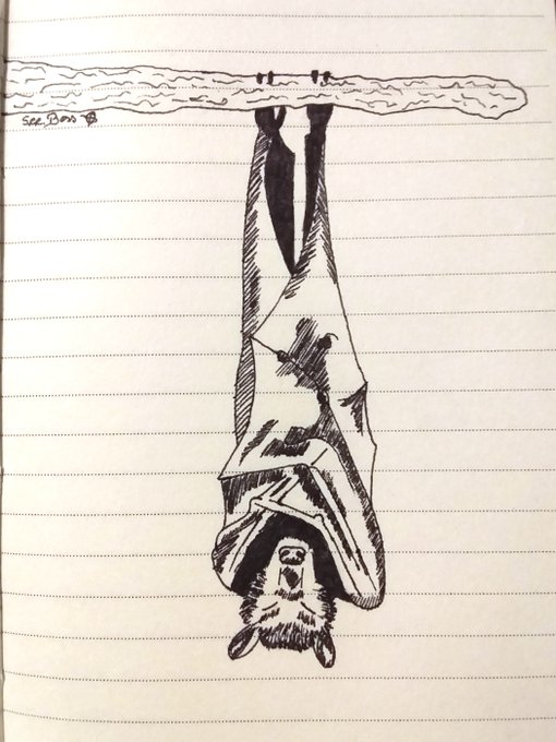 Twoucan - SEE Bess (@SEEBess1)