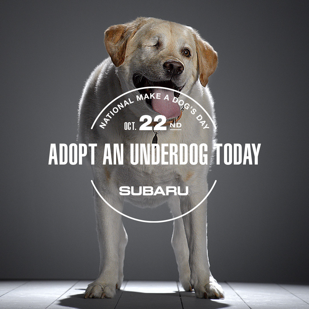 Subaru Dogs Adver