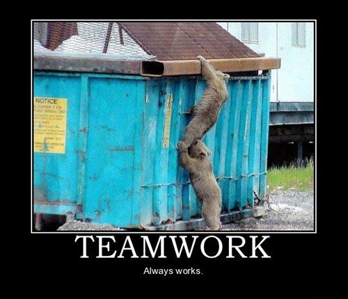 Animal Teamwork Pictures