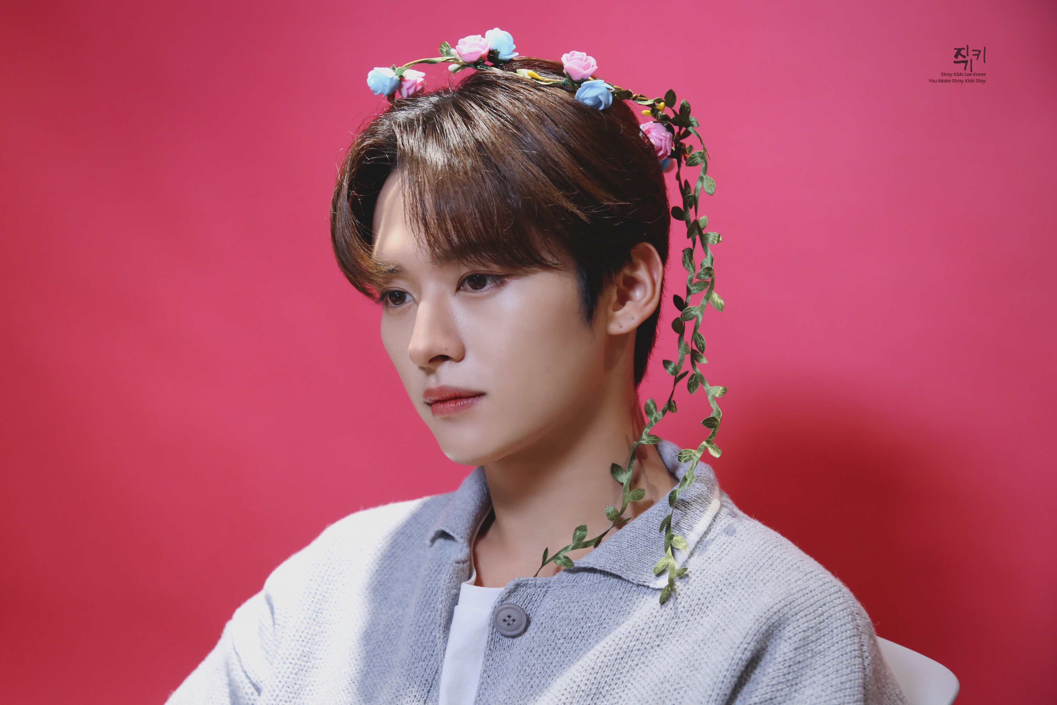 Stray Kids Japan Official on X: Stray Kids Japan Official on X: