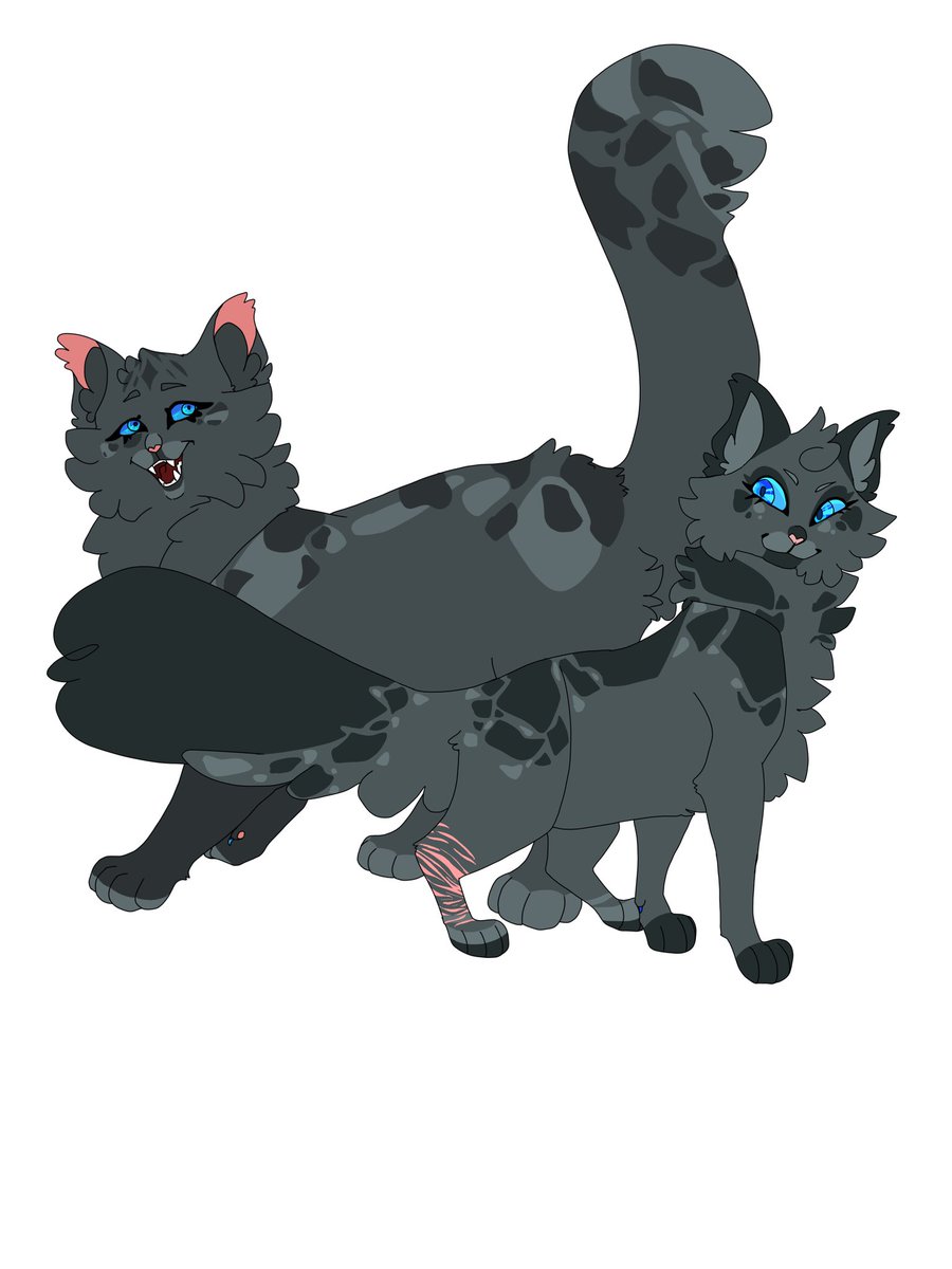 Cinderheart Warrior Cats