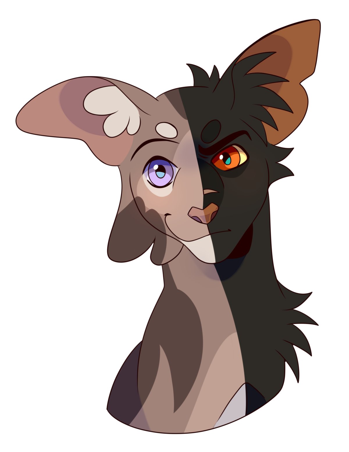 Breezepelt And Heathertail