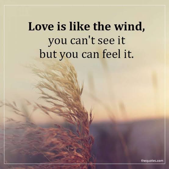 Feel Wind Love