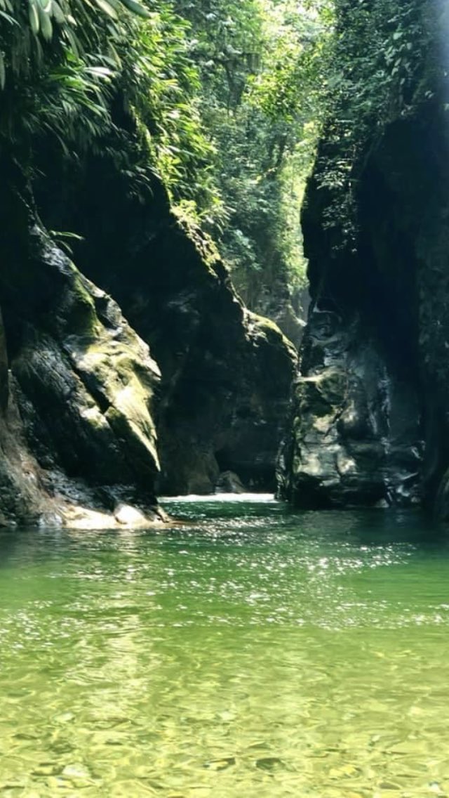 Allí Ejercicio mañanero Rebotar monte frio puerto rico Alegrarse ...