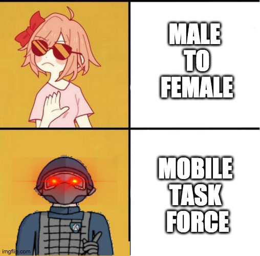 Task Force Meme