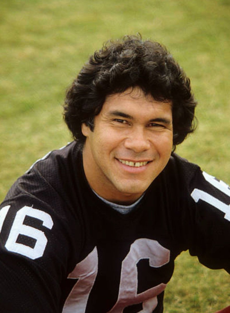 Jim Plunkett Quotes Image Gallery Of Jim Plunkett | NFL Past Players